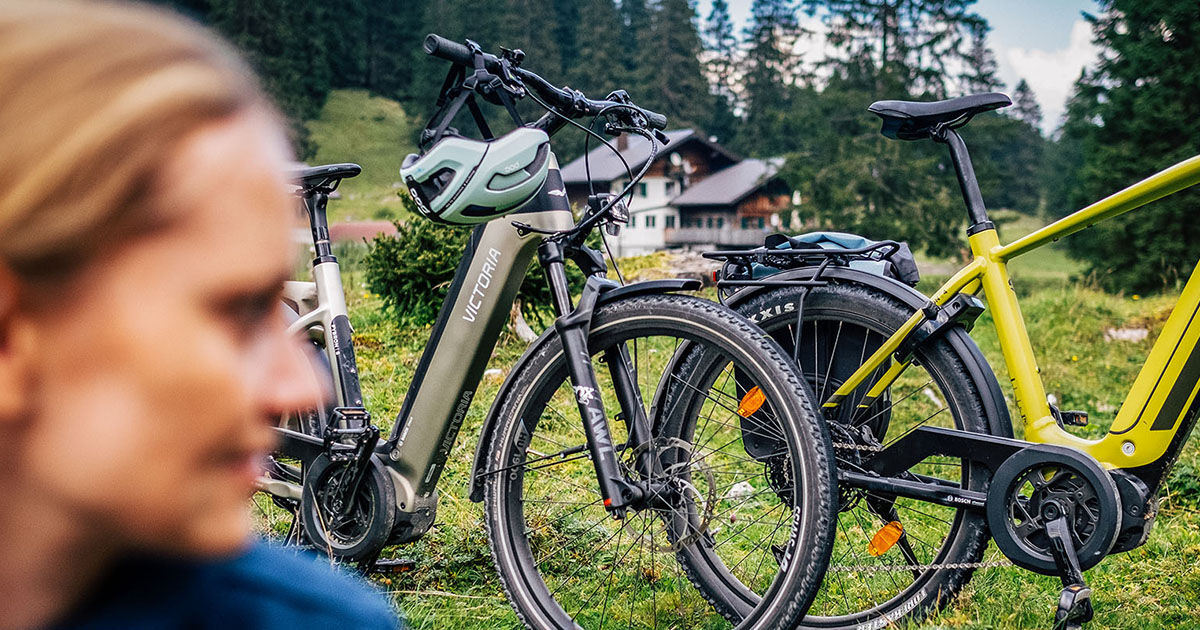 Doppelt so teuer, doppelt so gut? So viel kosten die besten E-Bikes ...