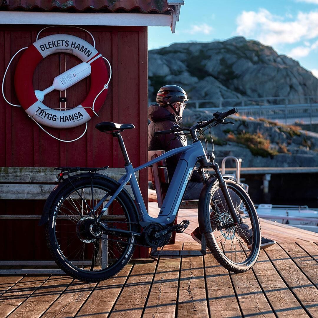 VICTORIA E-Bike | AVYON